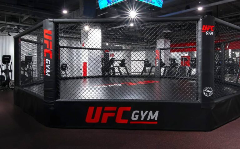 UFC Gym Franchise Cost: Opportunities, Profits, Docs & More